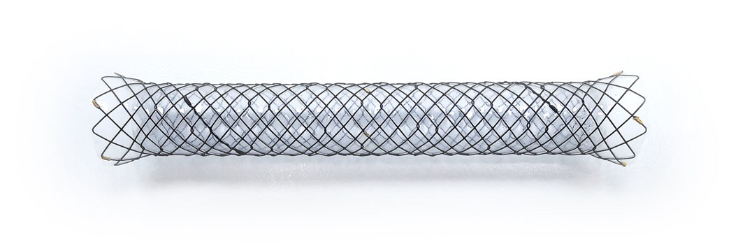 CGBIO’s Biliary Stent ‘ARISTENT’ Receives PMDA Approval in Japan ...